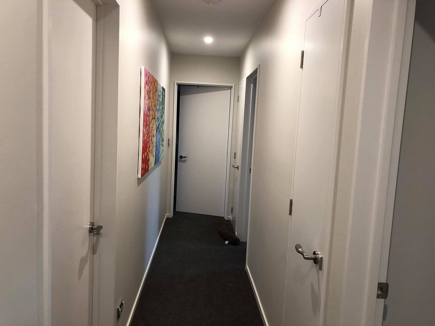 Work – Avenue Painting Services Christchurch